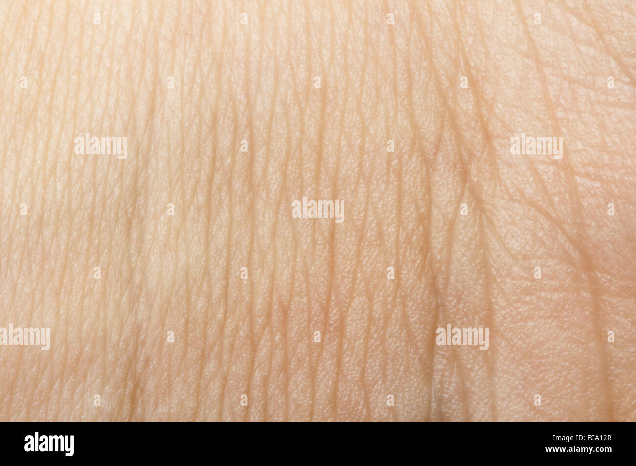 Wrinkled skin peel hi-res stock photography and images - Alamy