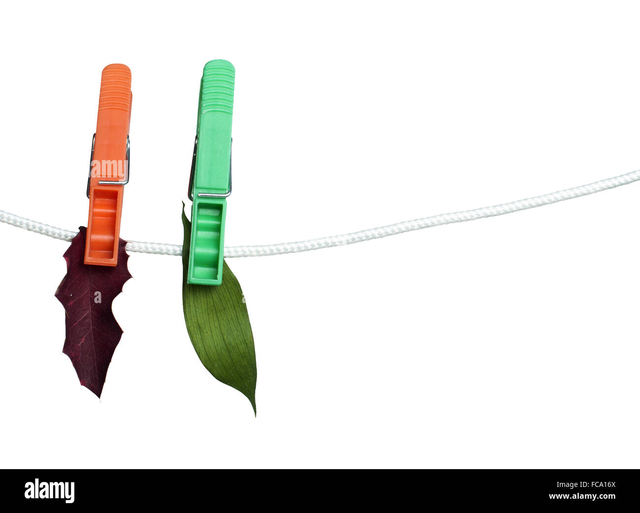 Autumn leaves on a rope Stock Photo - Alamy