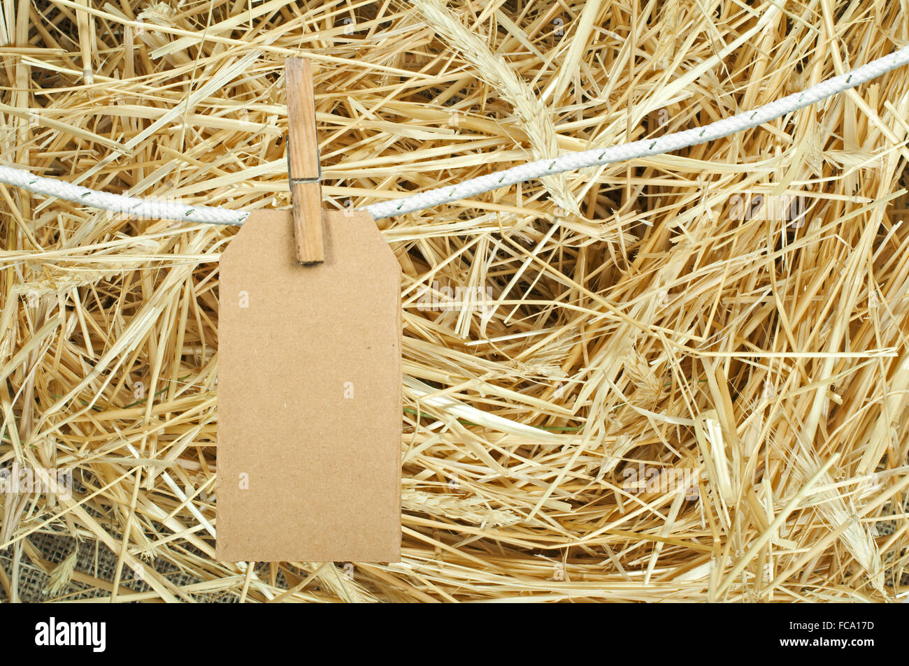 Note papers hooked on a rope Stock Photo - Alamy