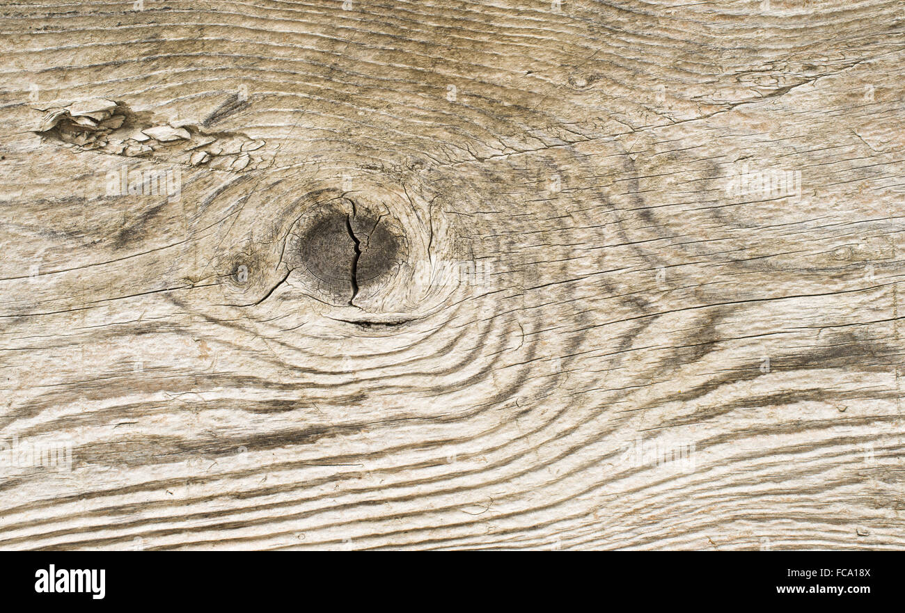 Rotting hardwood hi-res stock photography and images - Alamy