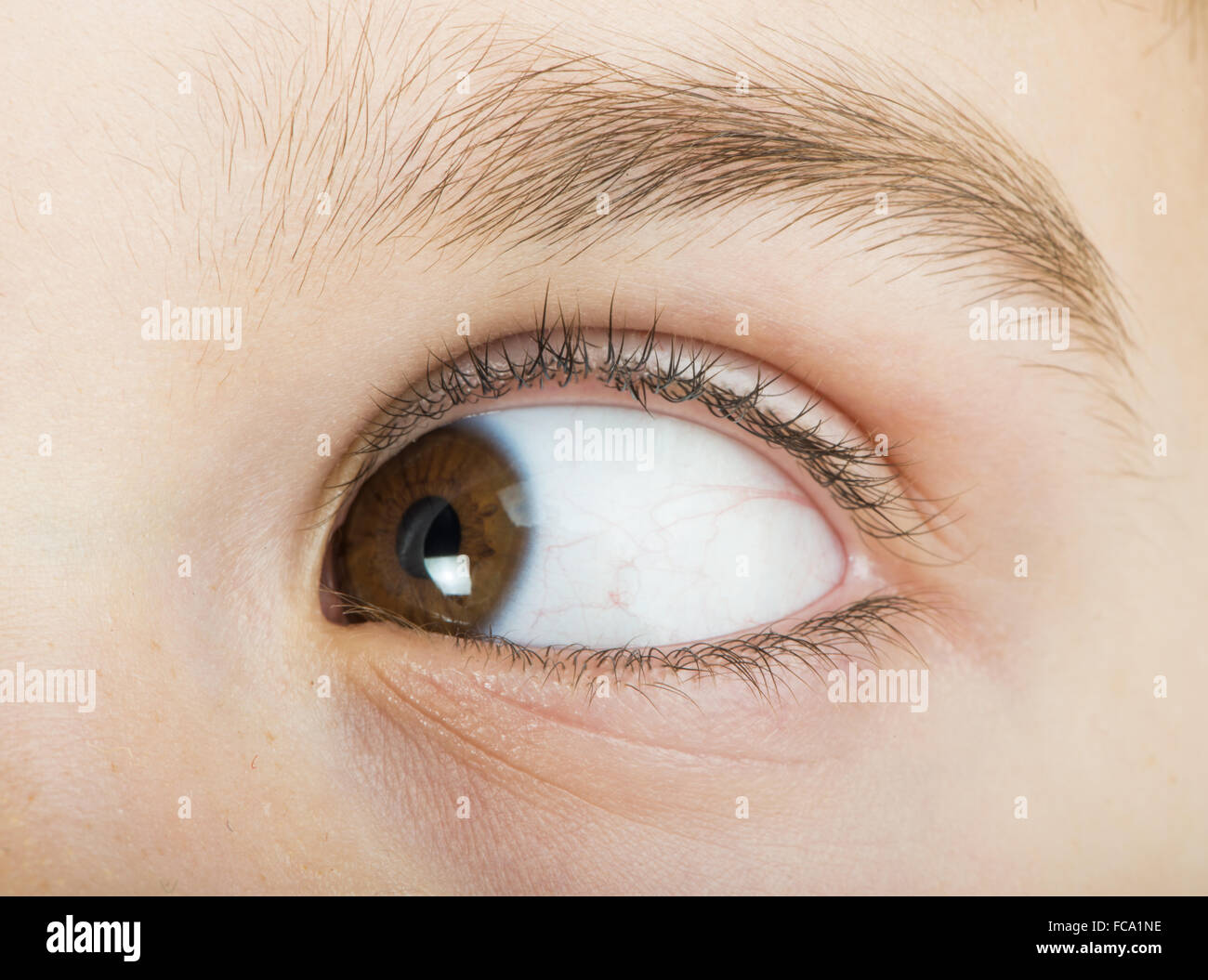 Human eye looking to the left Stock Photo - Alamy