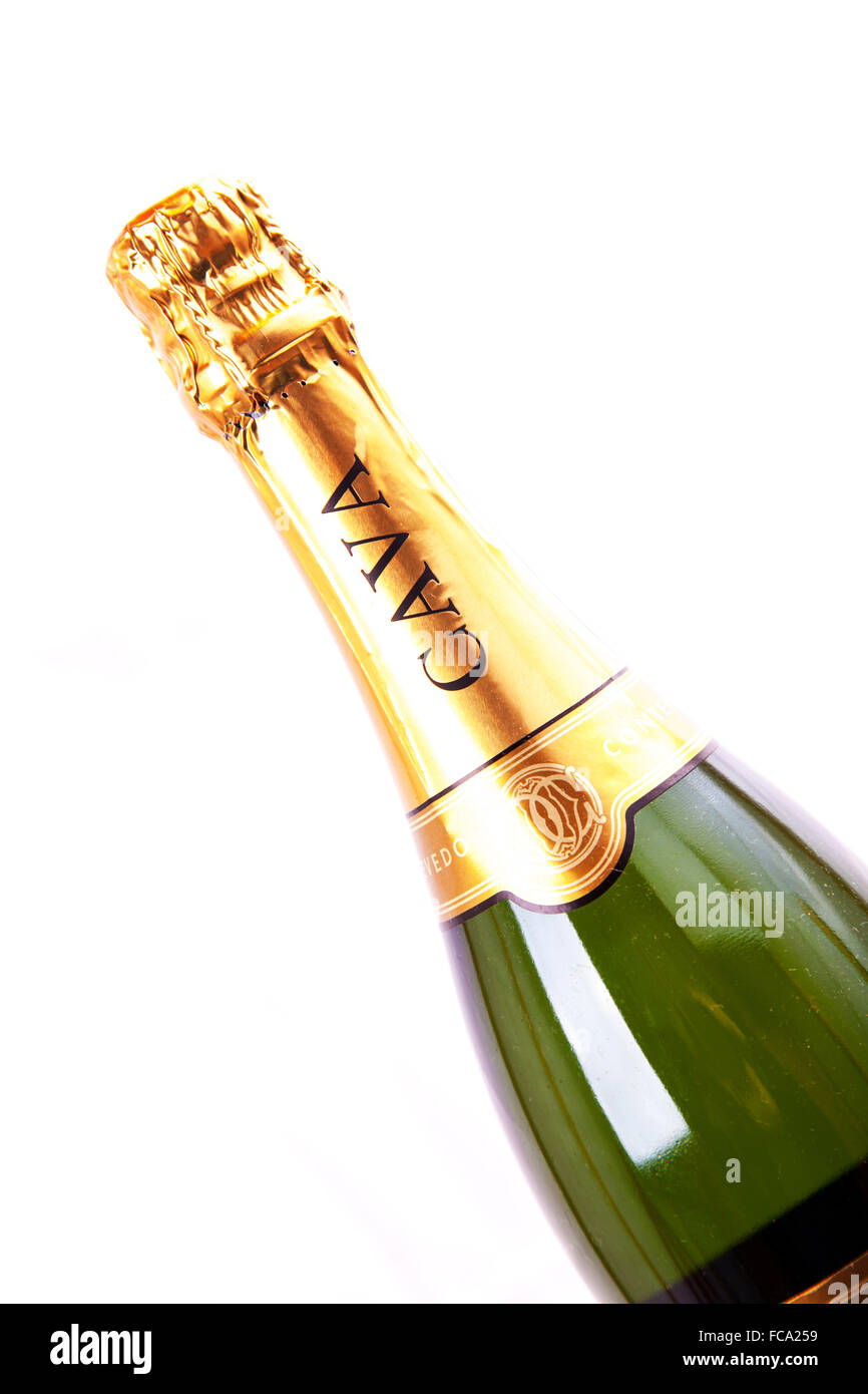 Cava logo hi-res stock photography and images - Alamy
