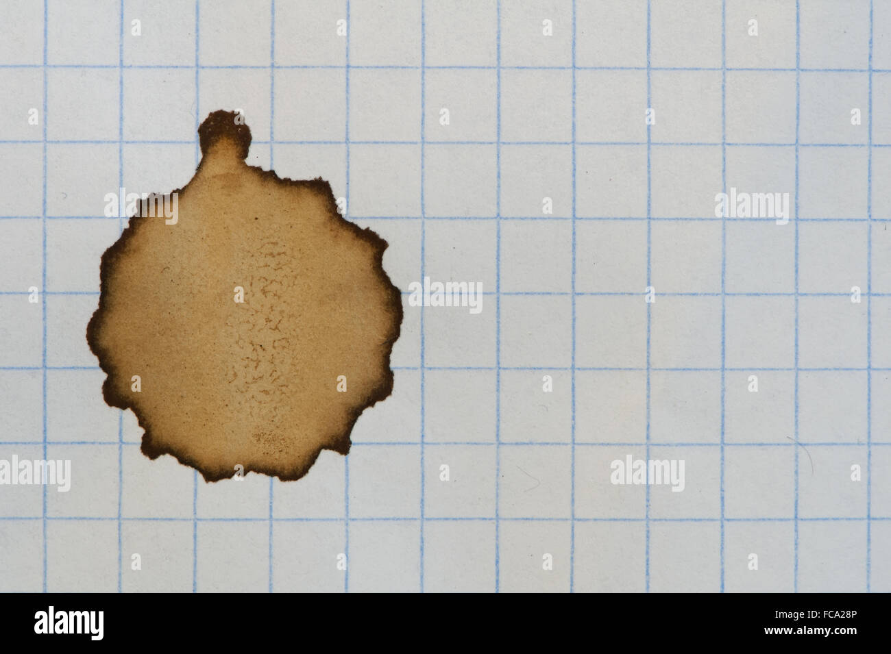 Checkered sheet of paper from a notebook Stock Photo - Alamy