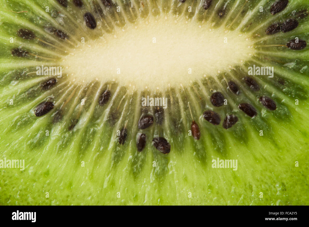 Kiwi fruit close up background Stock Photo - Alamy