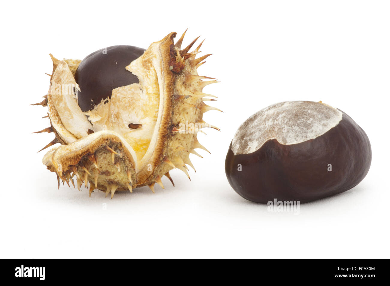 Chestnuts with shell Stock Photo - Alamy
