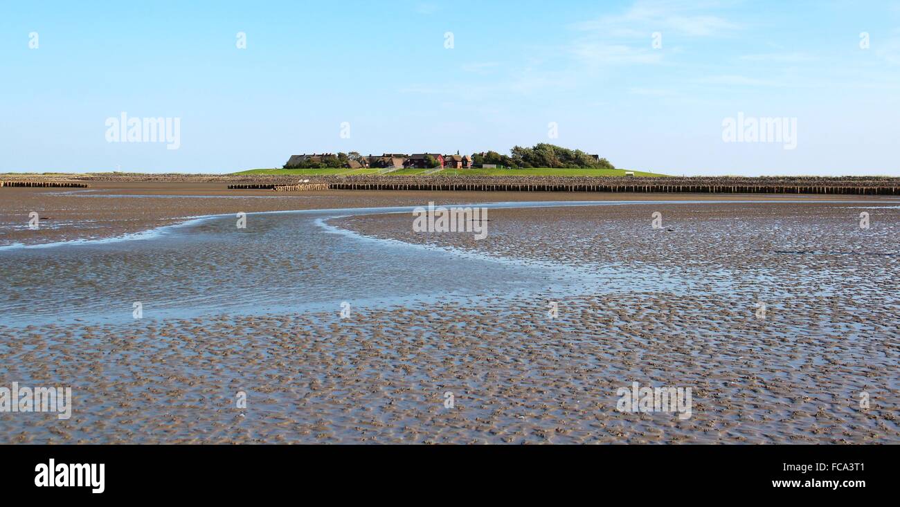 Halligen hi-res stock photography and images - Alamy