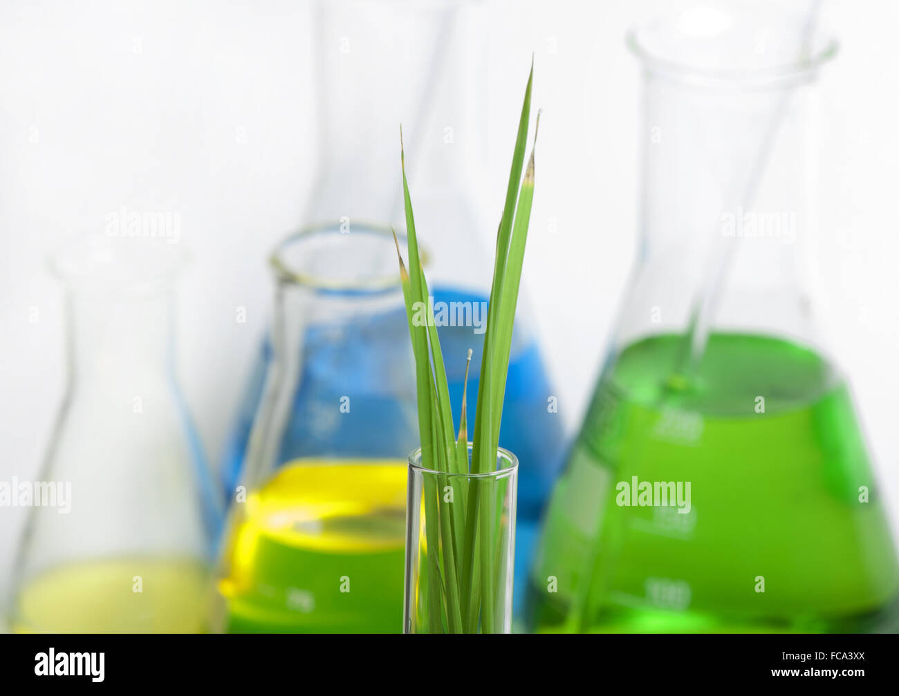 Genetic engineering plants lab hi-res stock photography and images - Alamy