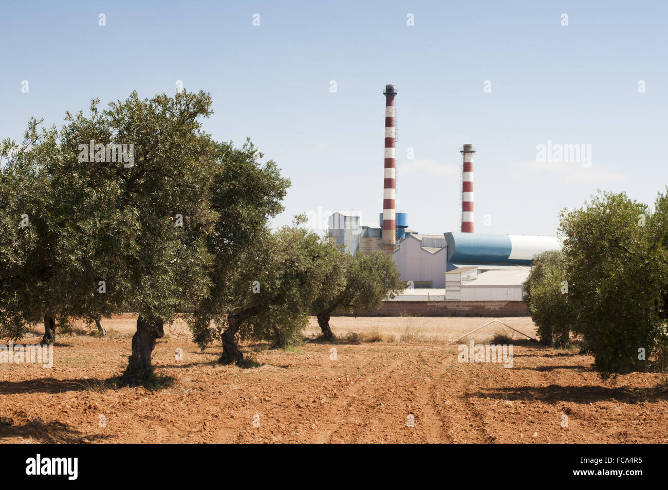 Olive trees factory hi-res stock photography and images - Alamy