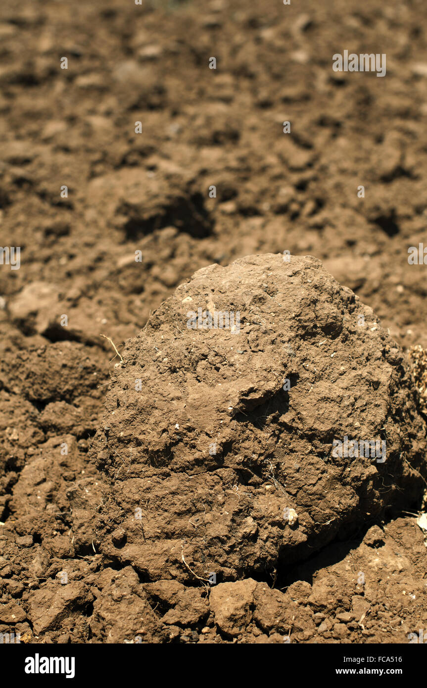 Agricultural land soil close up Stock Photo - Alamy