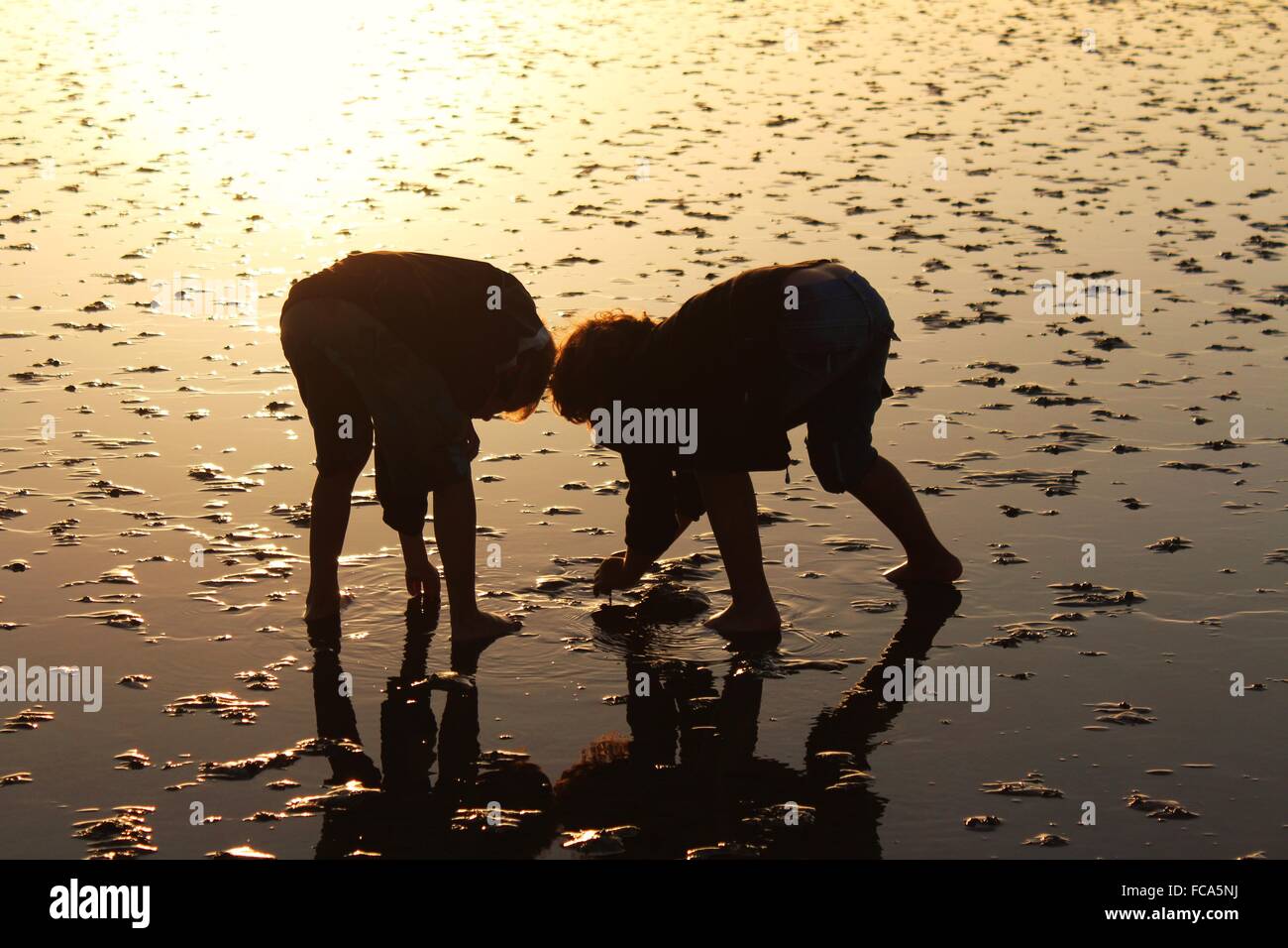 Playing in mud hi-res stock photography and images - Alamy