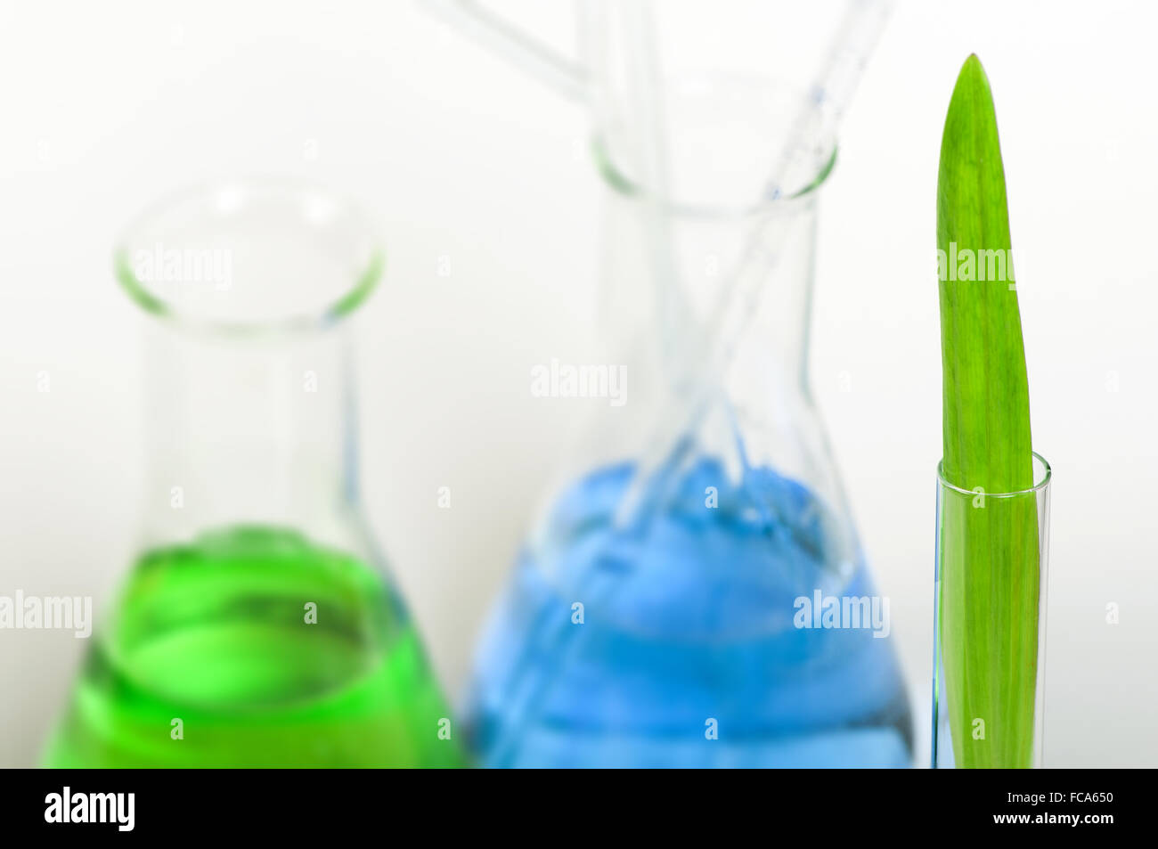 Green plants in laboratory equipment Stock Photo - Alamy