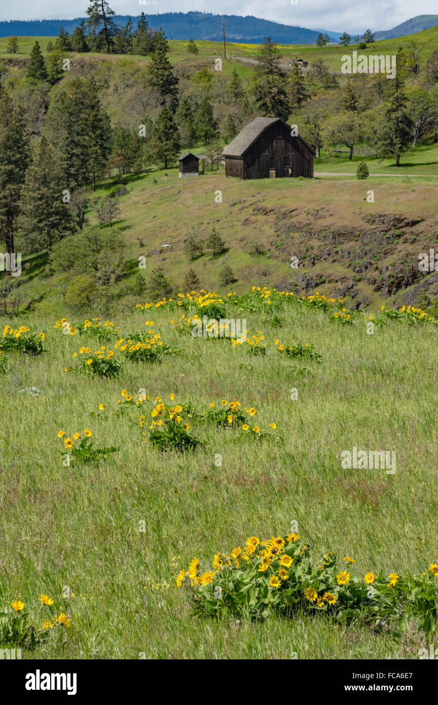 Small wooden barn hi-res stock photography and images - Alamy
