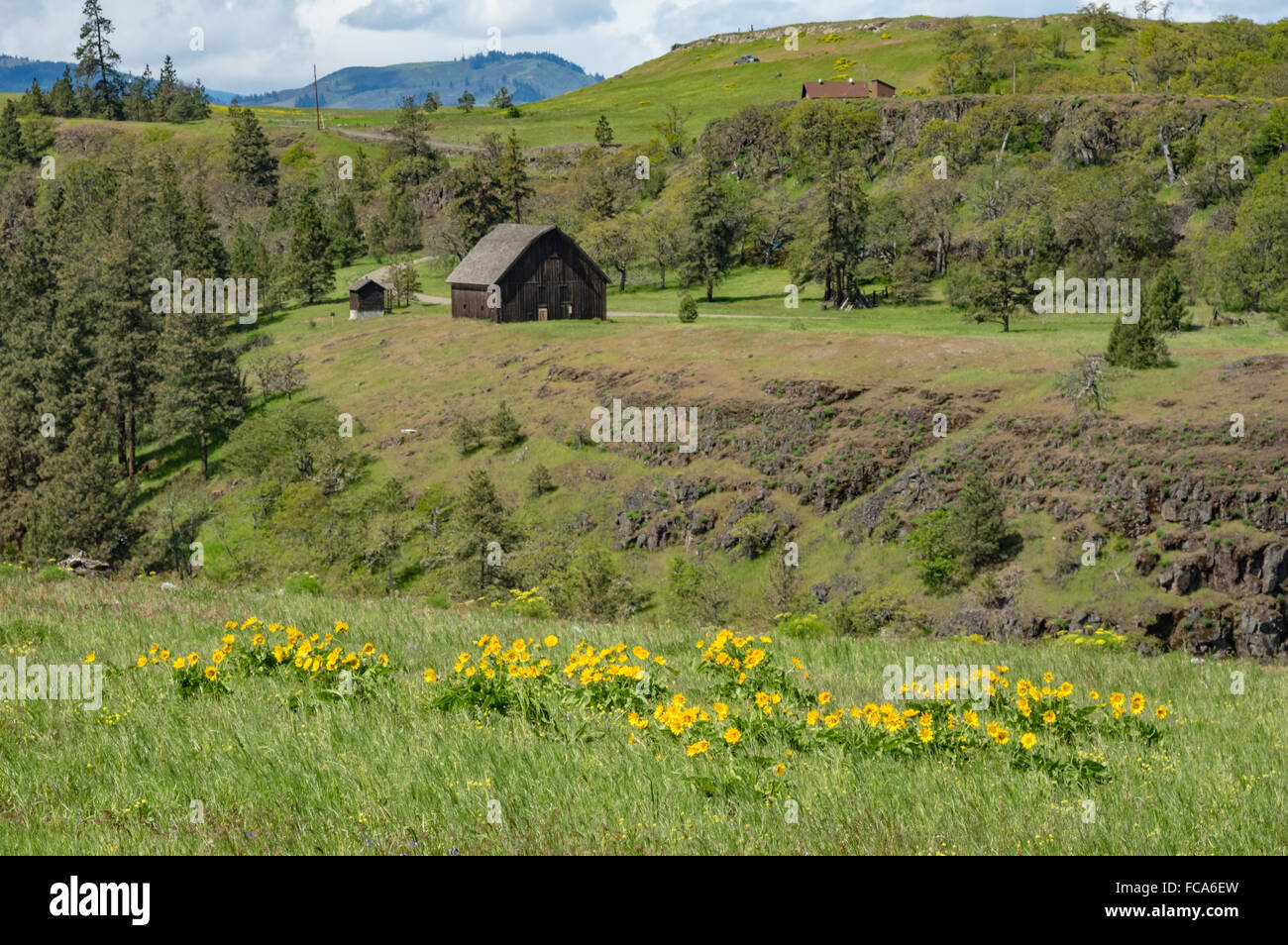 Small wooden barn hi-res stock photography and images - Alamy