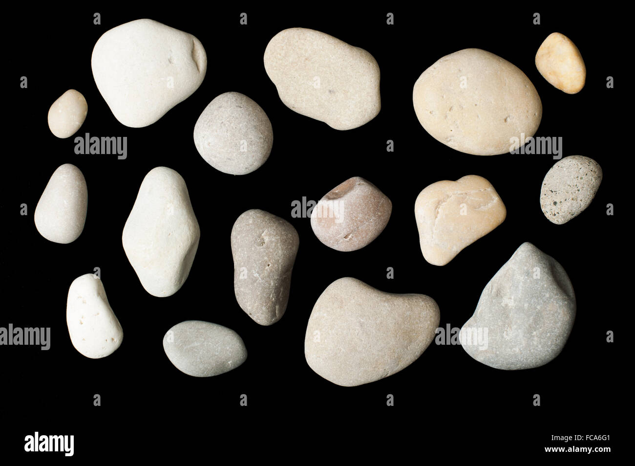 Seashell stones black white hi-res stock photography and images - Alamy