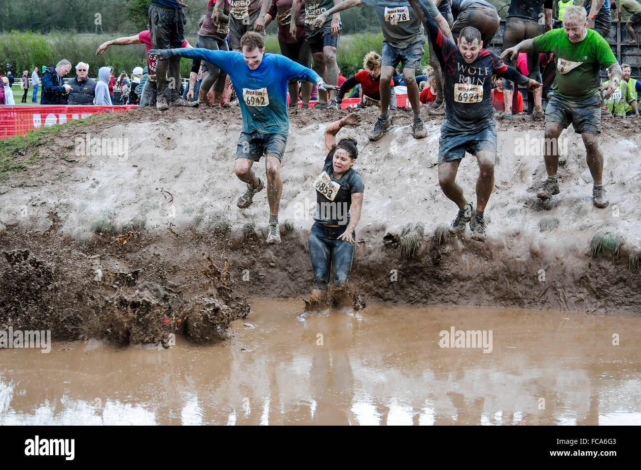 Runners jump in to mud pool at finish of obstacle course race, UK Stock ...