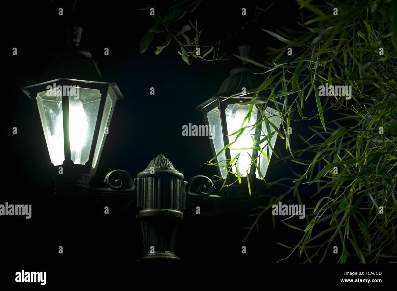 Night picture of the lamp in the park Stock Photo - Alamy