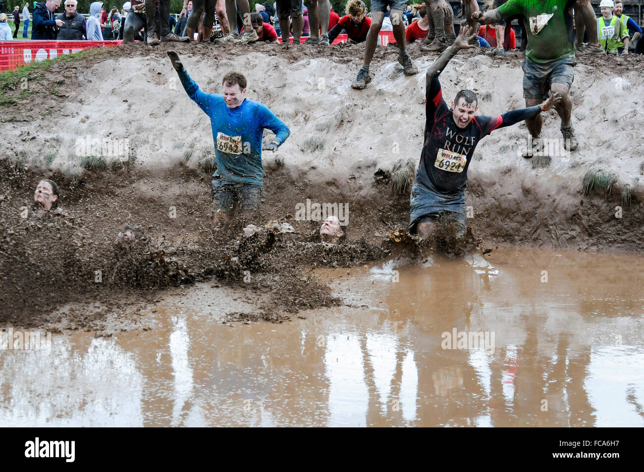 Runners jump in to mud pool at finish of obstacle course race, UK Stock ...