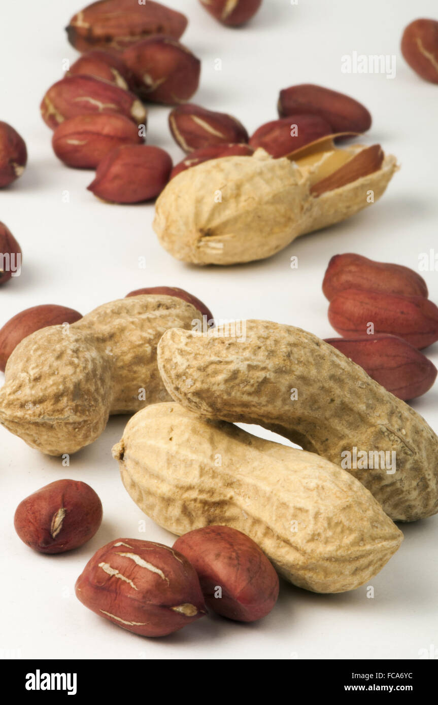 Raw peanuts in shells and shelled peanuts Stock Photo - Alamy