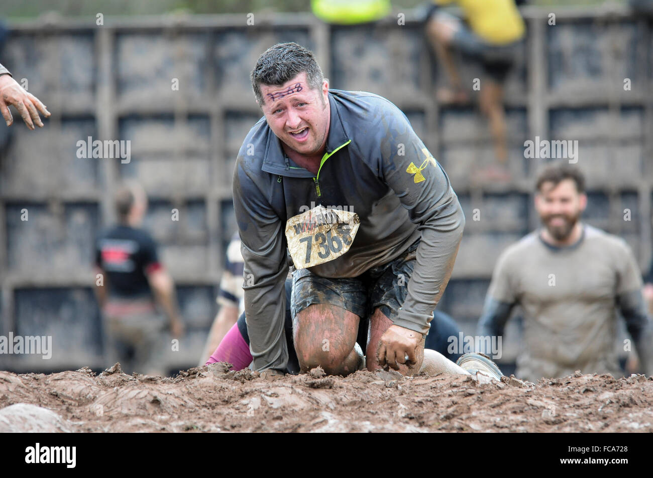 Runners at obstacle course race, UK Stock Photo - Alamy