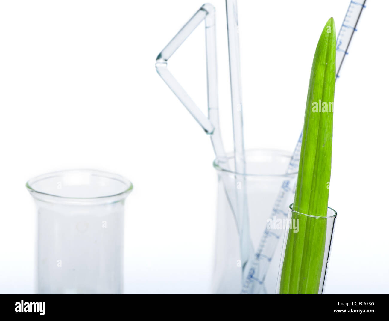 Green plants in laboratory equipment Stock Photo - Alamy