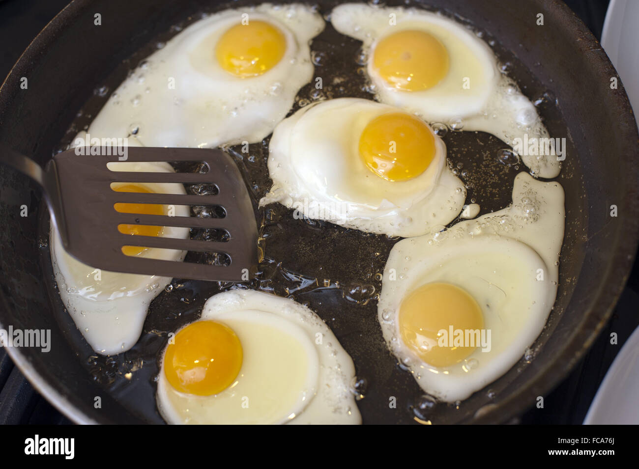 Frying a batch of eggs Stock Photo - Alamy