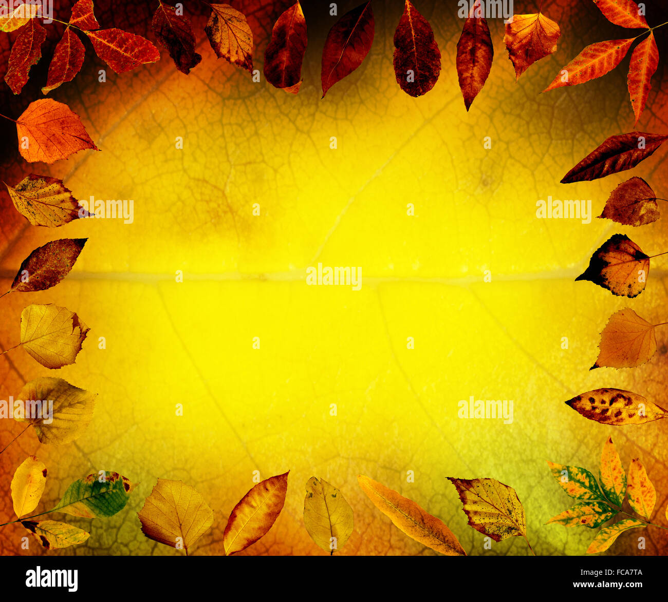 Border of autumn leaves Stock Photo - Alamy