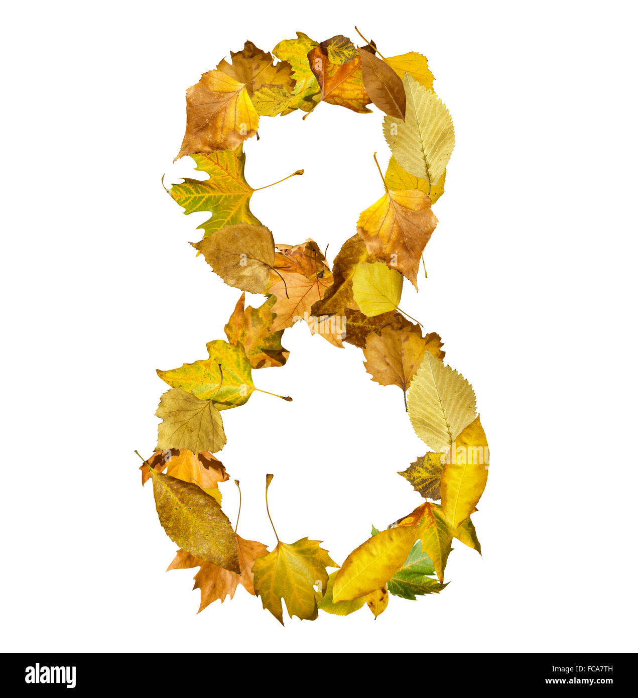 Number eight made of autumn leaves Stock Photo - Alamy