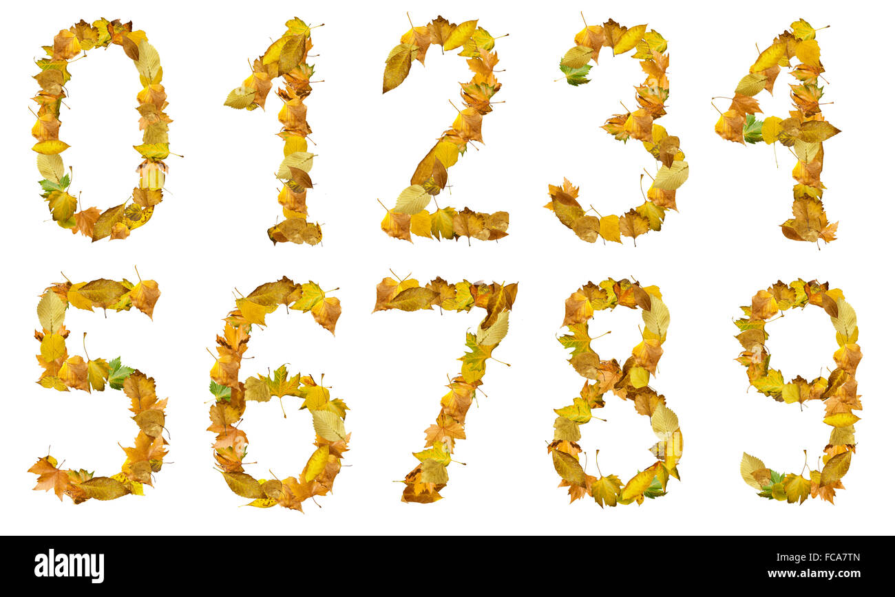 Numbers made leaves hi-res stock photography and images - Alamy