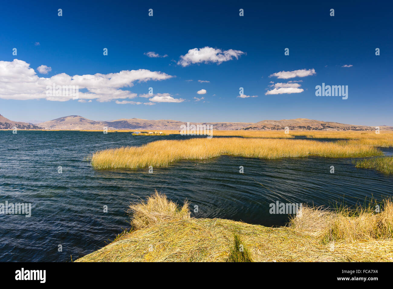 The Uros Islands, entirely made of Totora Reeds, floating on Titicaca ...