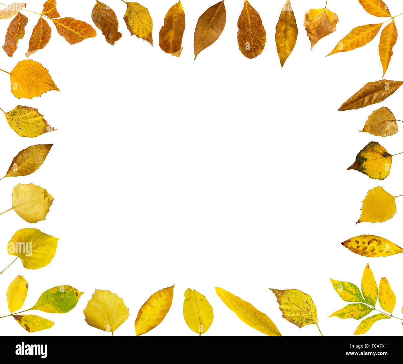 Border of autumn leaves Stock Photo - Alamy