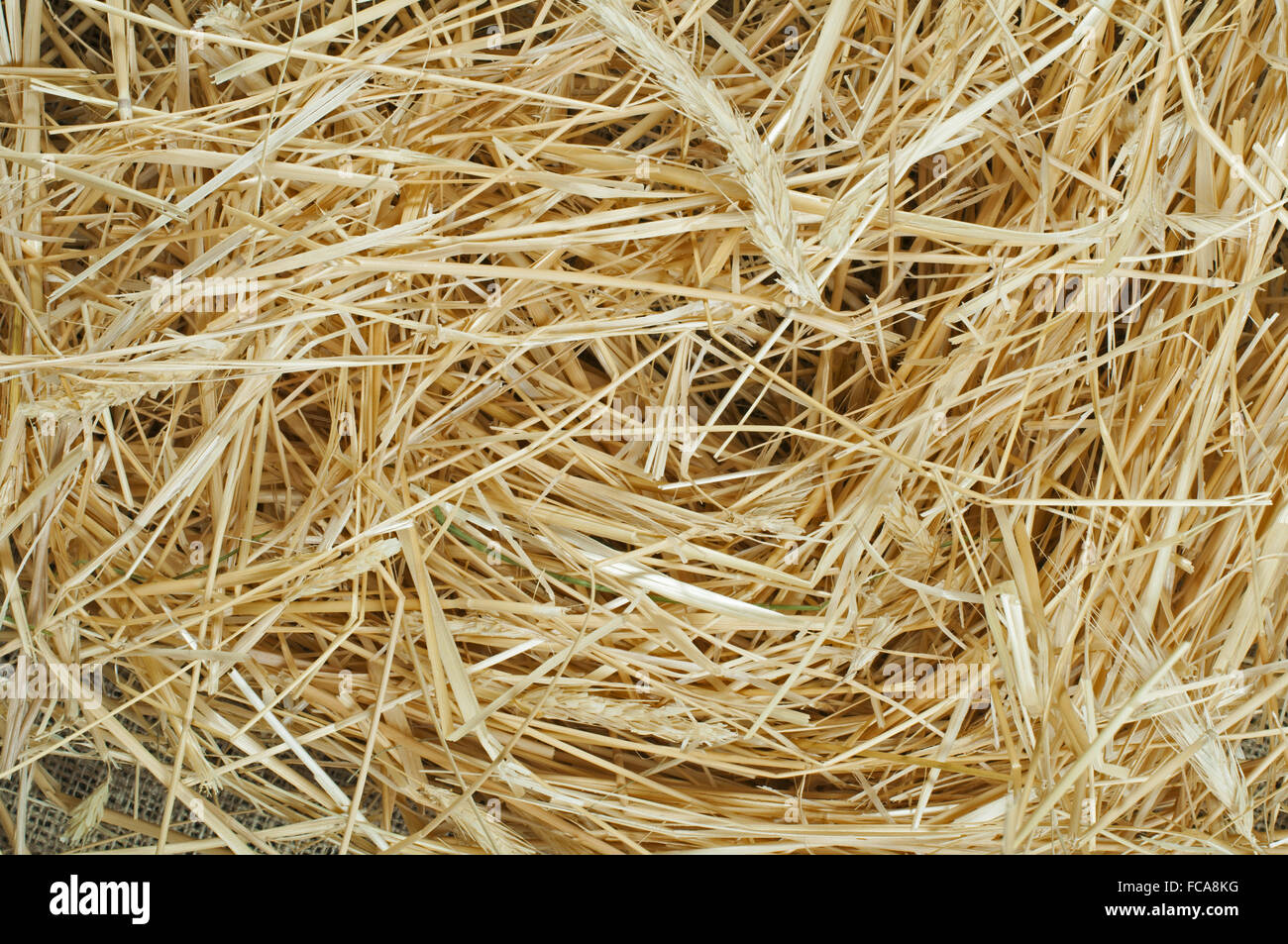 Straw close up background Stock Photo - Alamy