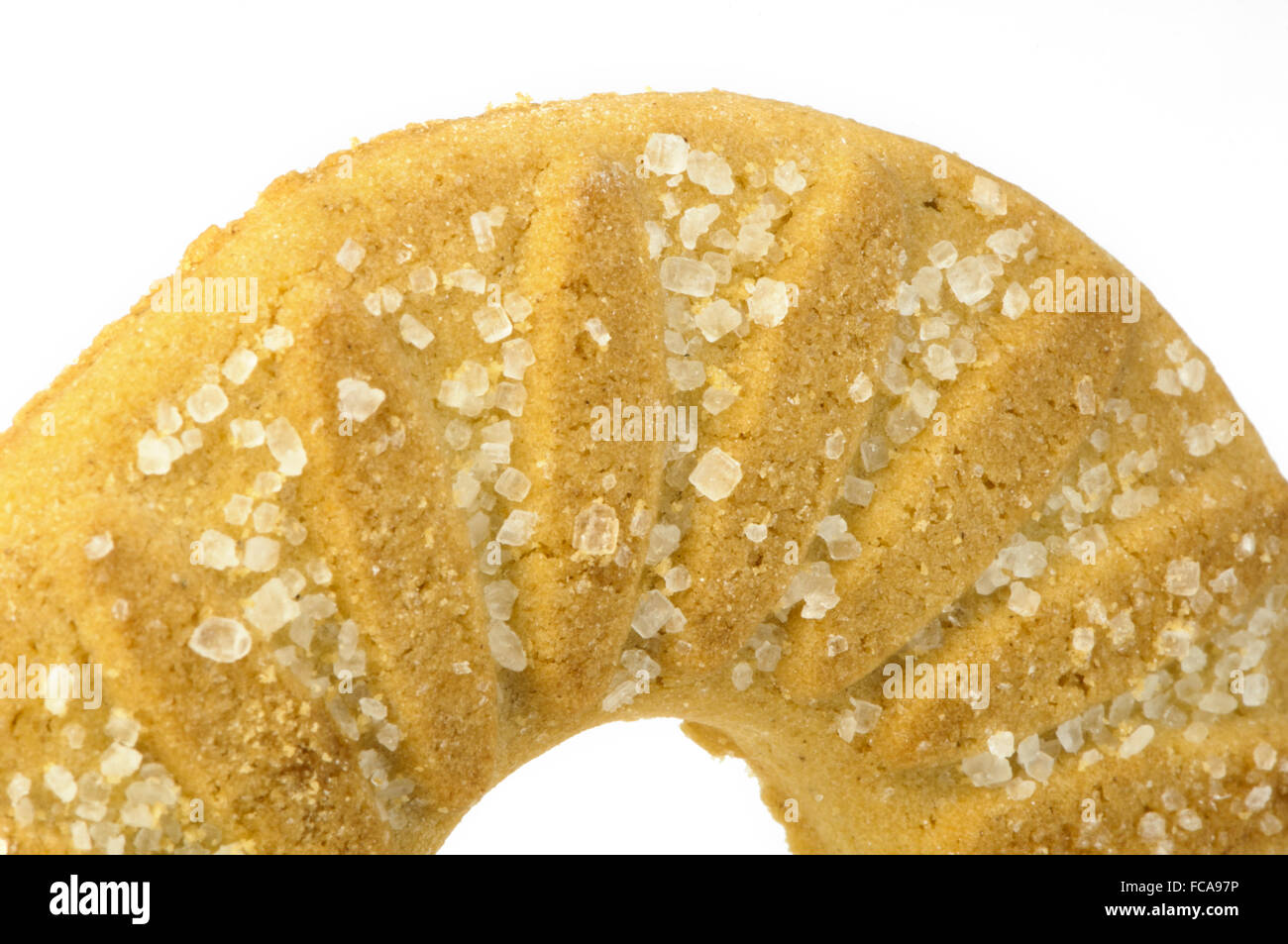One Biscuit close up Stock Photo - Alamy