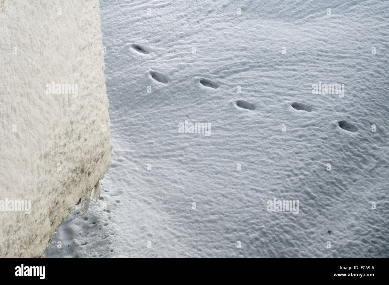 Snow drifts and steps Stock Photo - Alamy