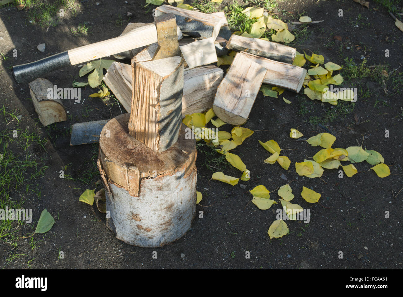 Ax chopping wood on chopping block Stock Photo - Alamy