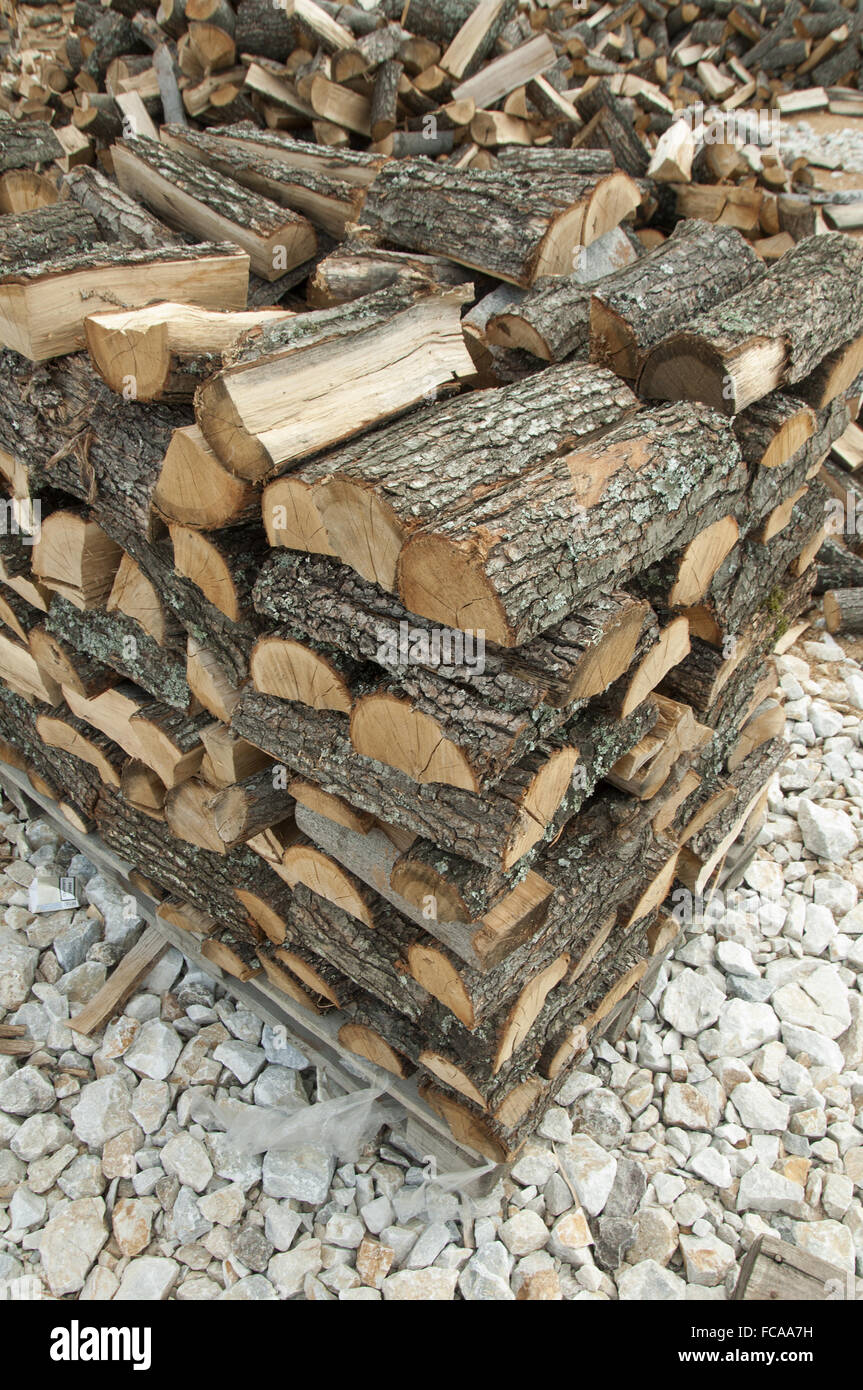 Stack of freshly cut trees Stock Photo - Alamy