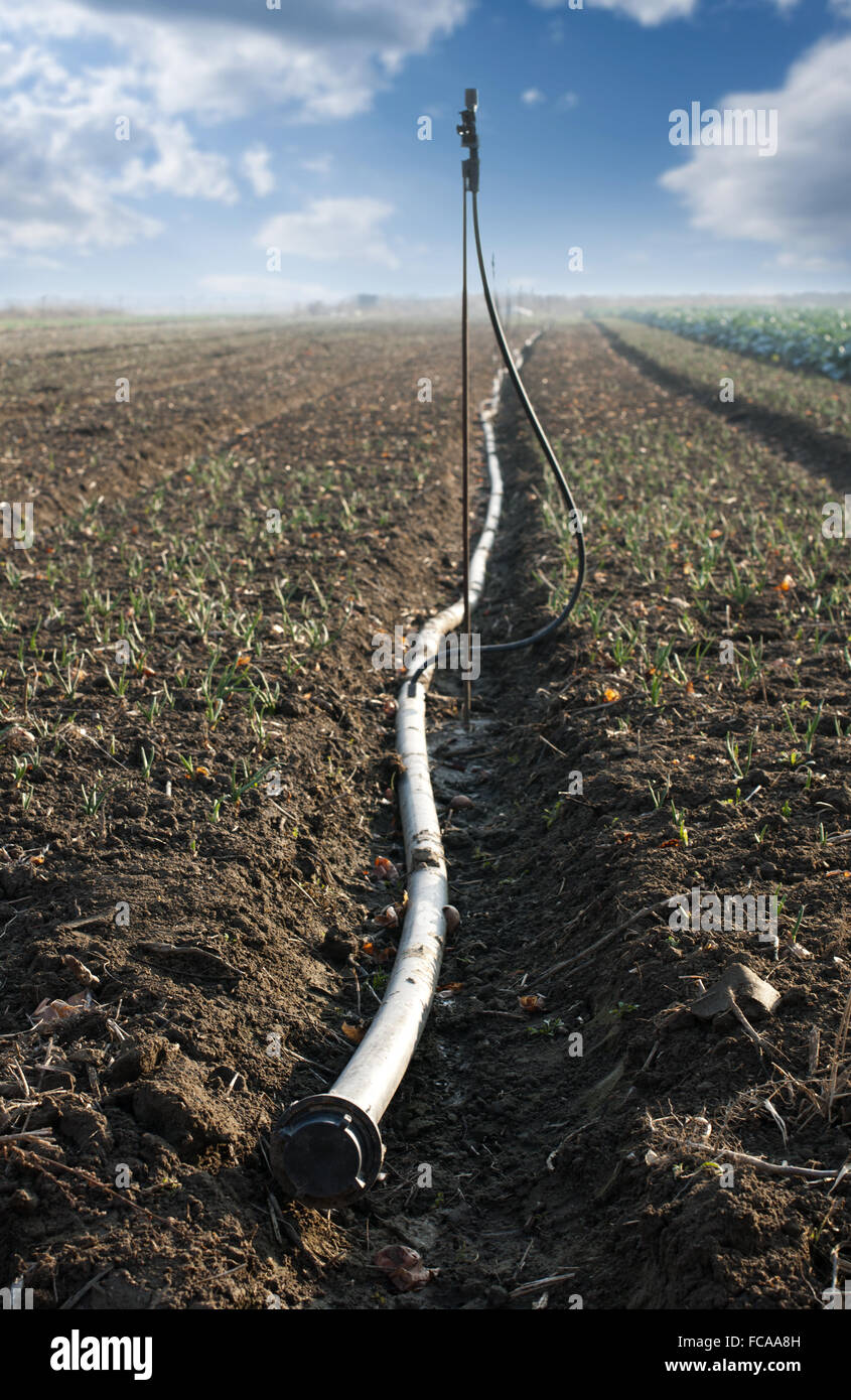 Ground water irrigated farmland hi-res stock photography and images - Alamy
