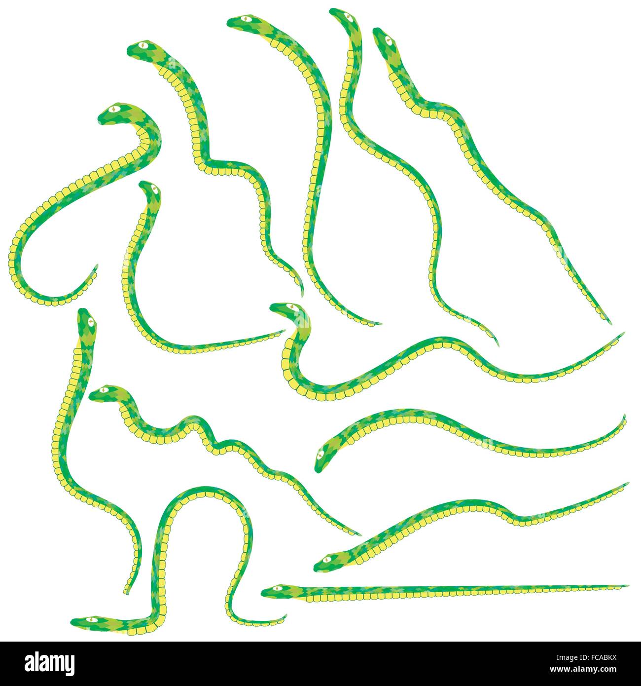 Green snake cutout Stock Vector Images - Alamy