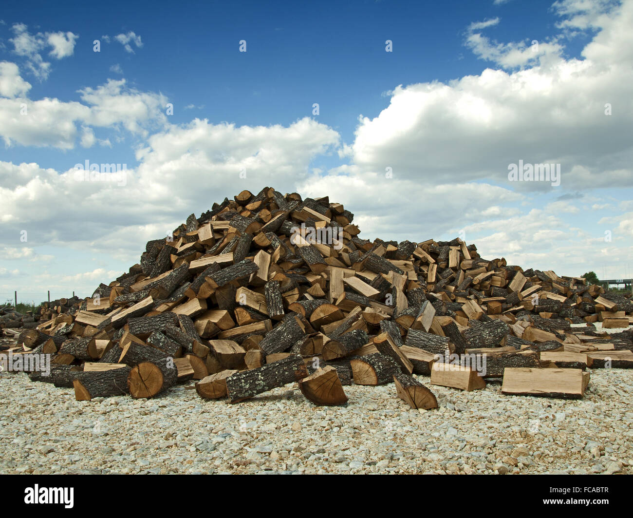 Stack of freshly cut trees Stock Photo - Alamy