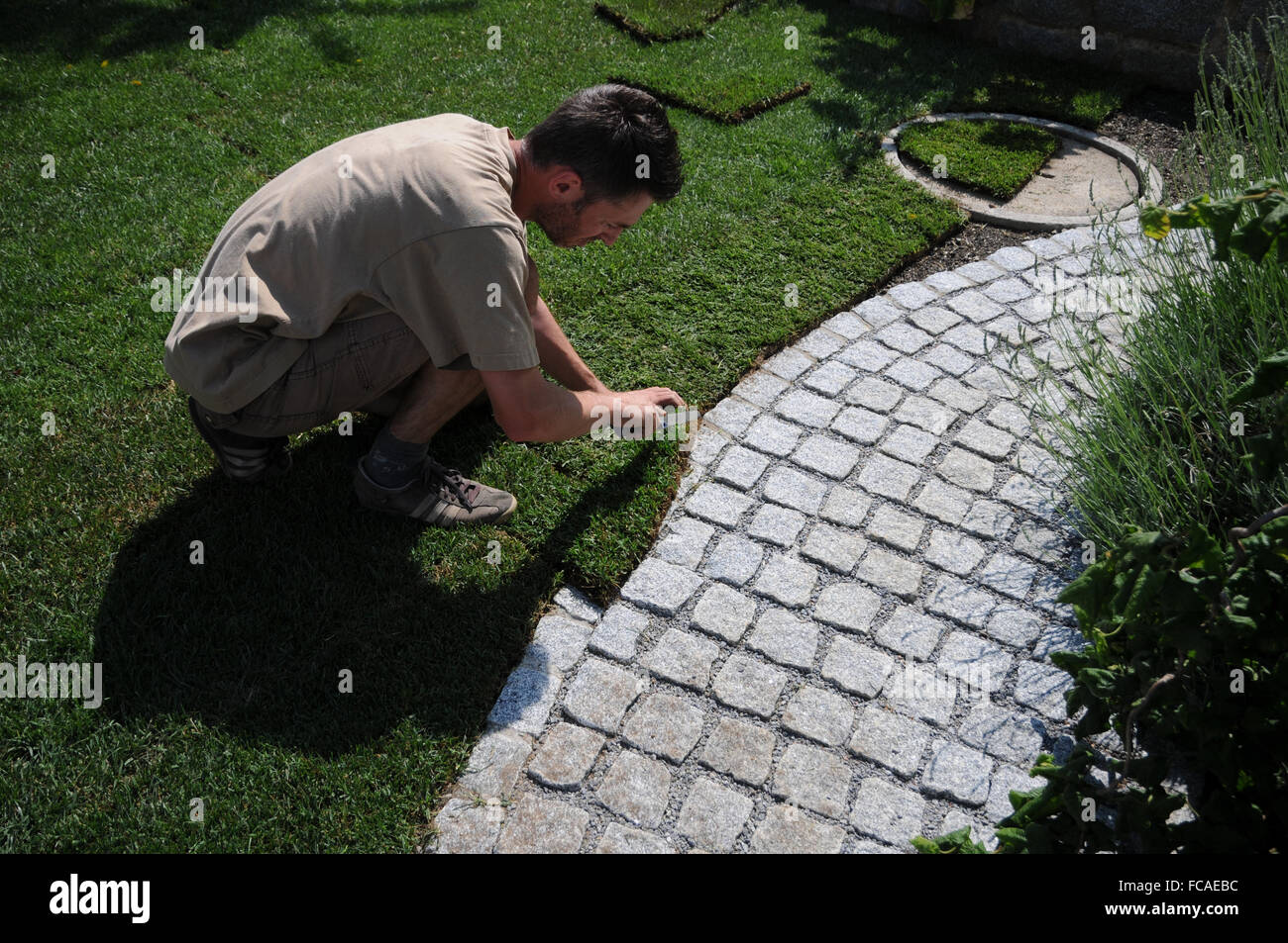 Laying sod, cutting sod-pieces Stock Photo - Alamy