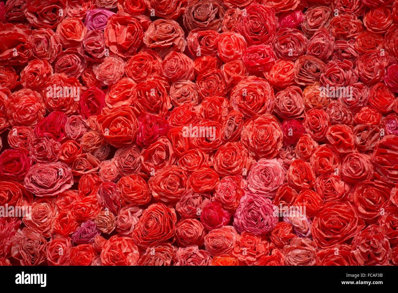 Pattern of red roses as background Stock Photo - Alamy