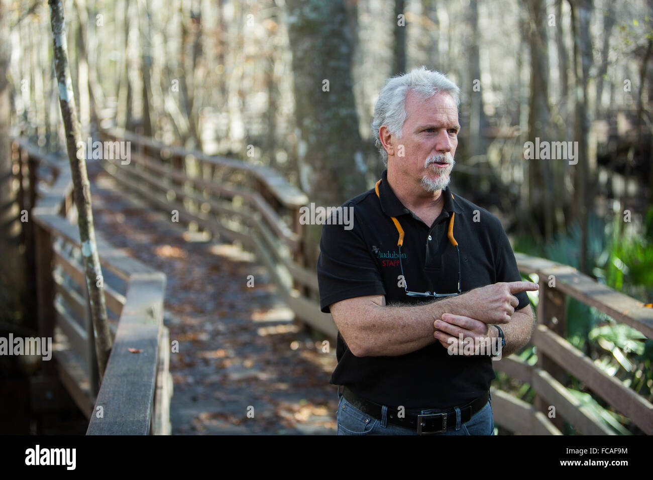 Francis beidler forest hi-res stock photography and images - Alamy