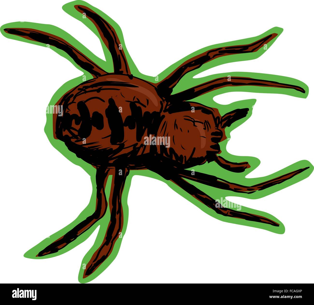 Top view sketch of garden spider over white background Stock Vector ...