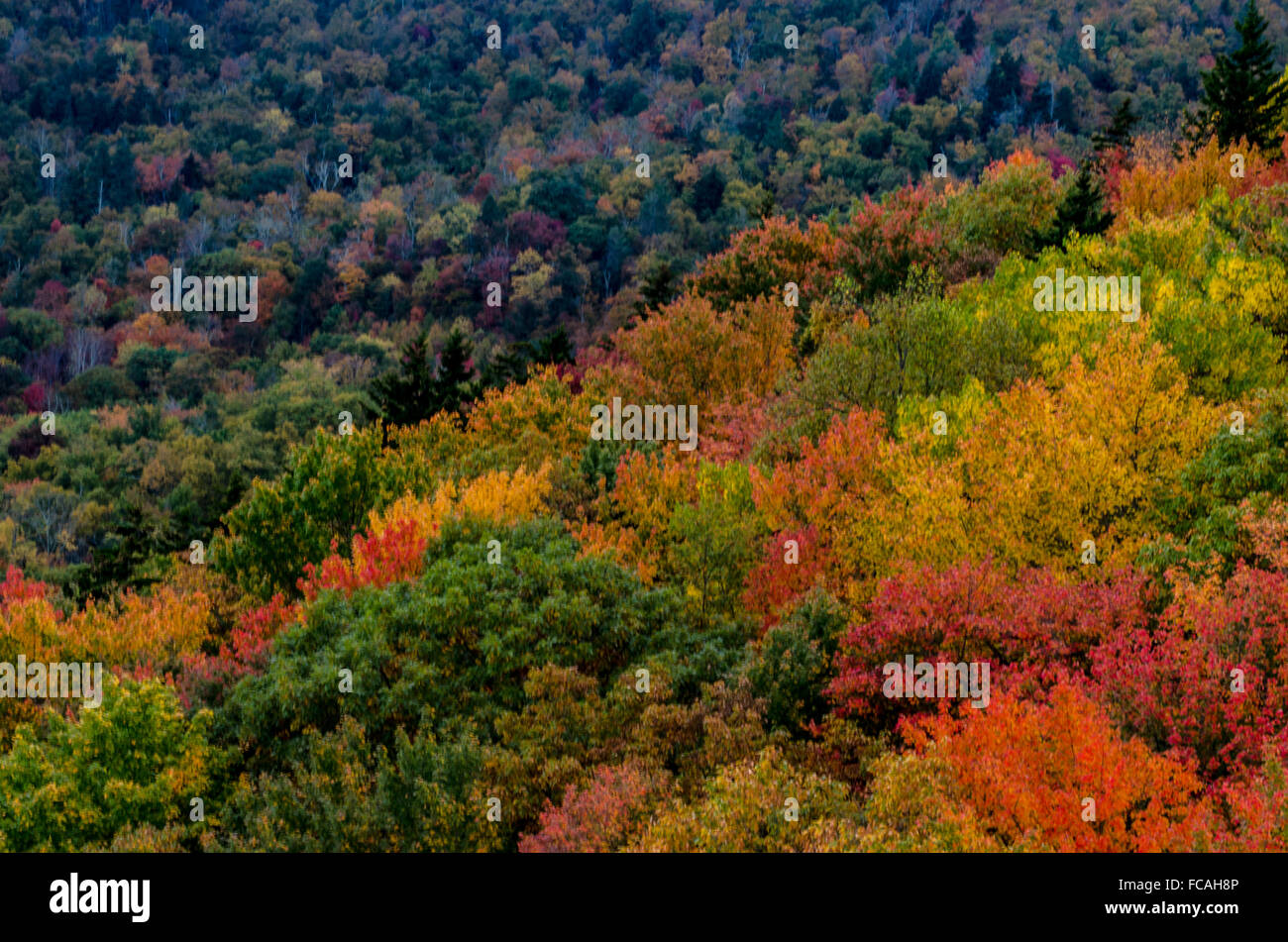 Blue Ridge Mountains Pop with fall colors near Asheville, North ...