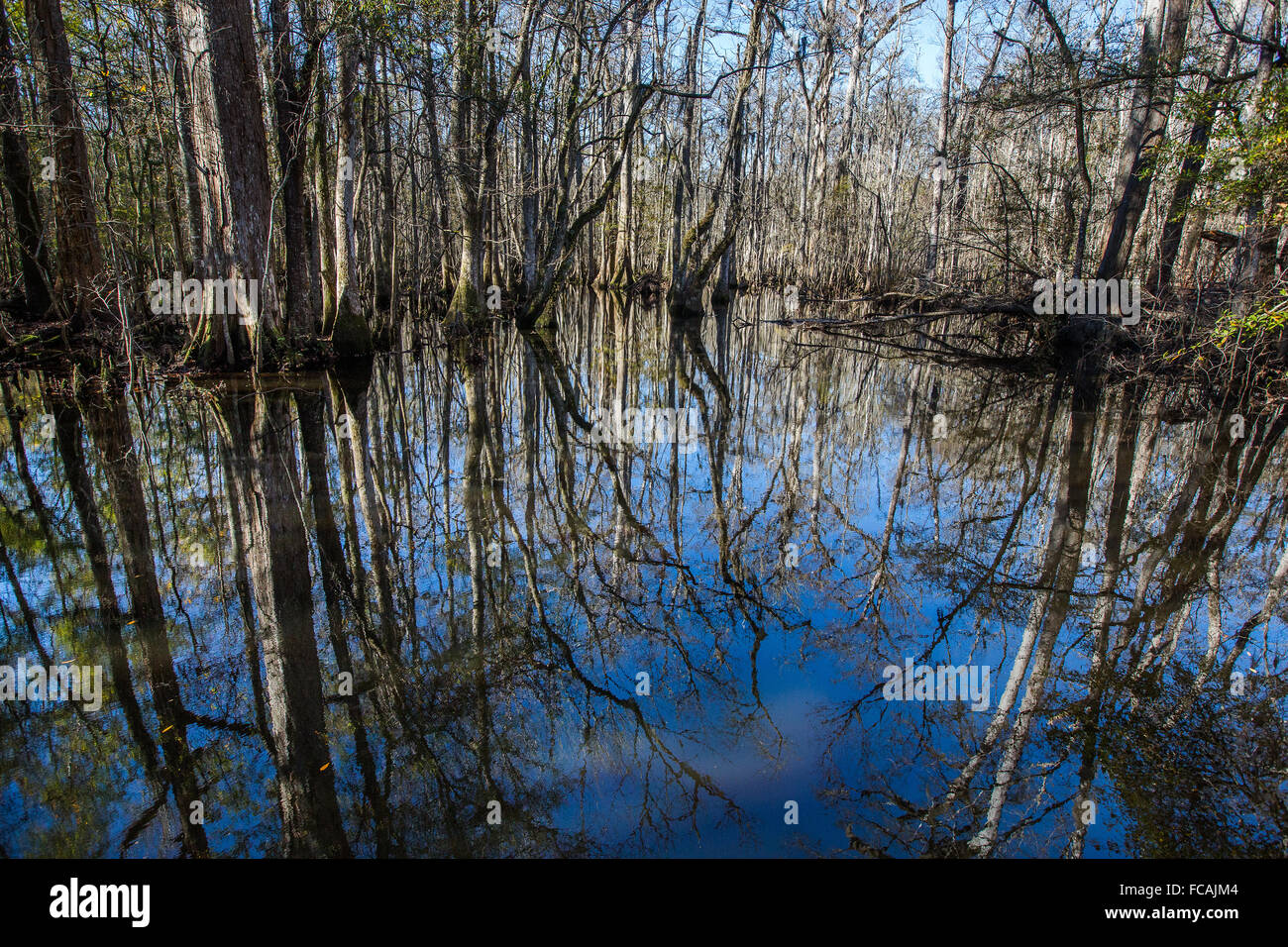 Four hole swamp hi-res stock photography and images - Alamy