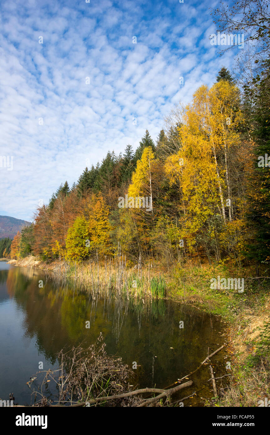 Autumn tree mountain and lake. Cuejdel lake was born 30 years ago (a ...