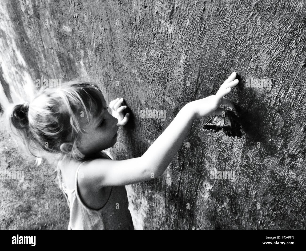 Butterfly Catching Stock Photos & Butterfly Catching Stock Images - Alamy