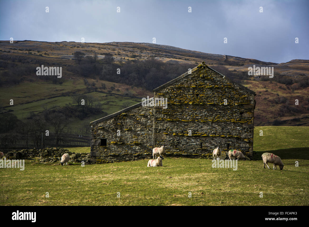 Barn yorkshire dales hi-res stock photography and images - Alamy
