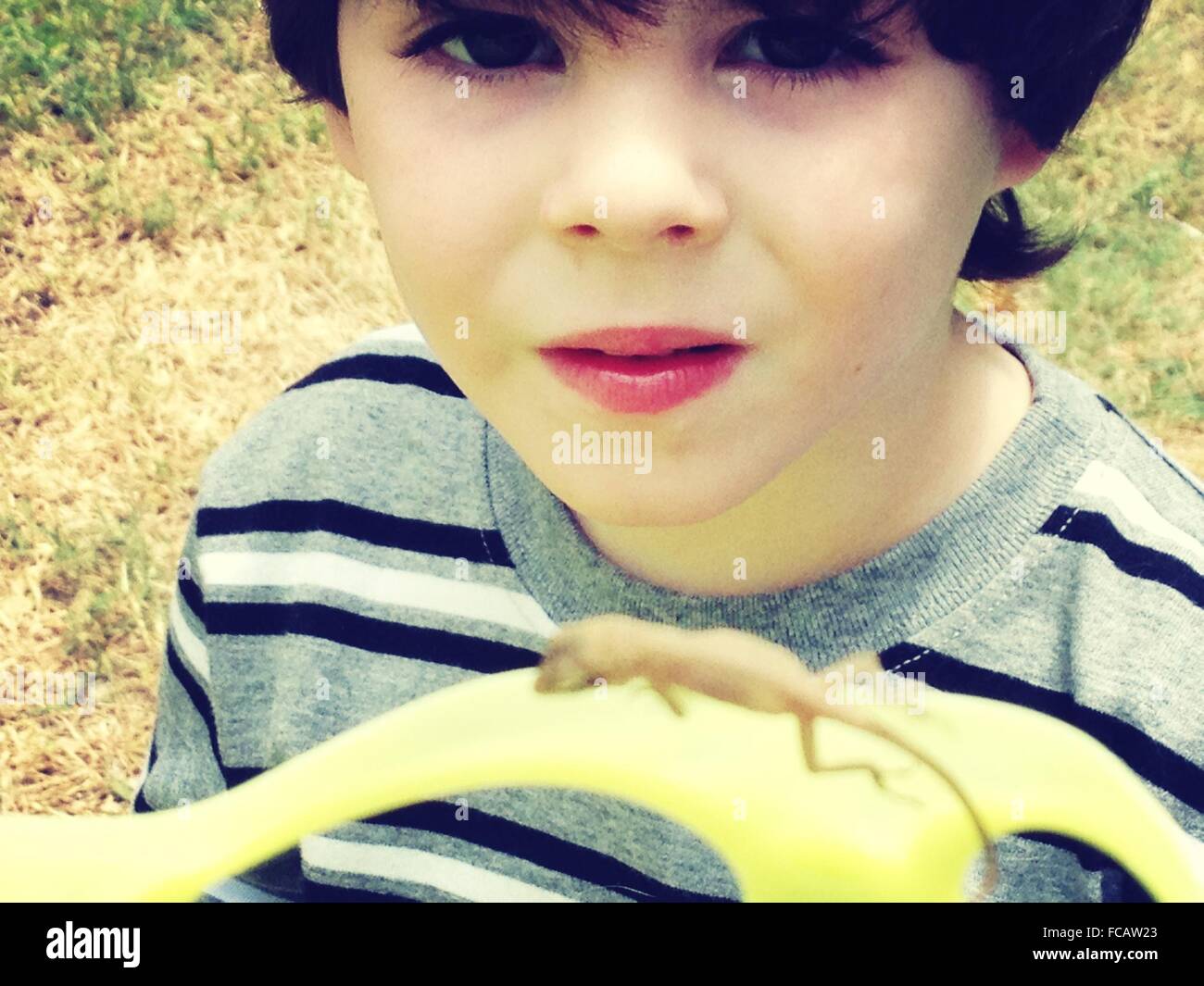 Boy With Lizard Stock Photo - Alamy