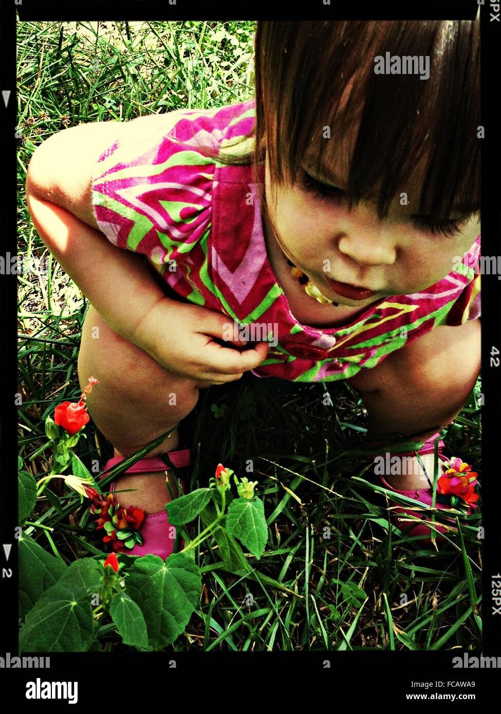 Over flower hi-res stock photography and images - Alamy