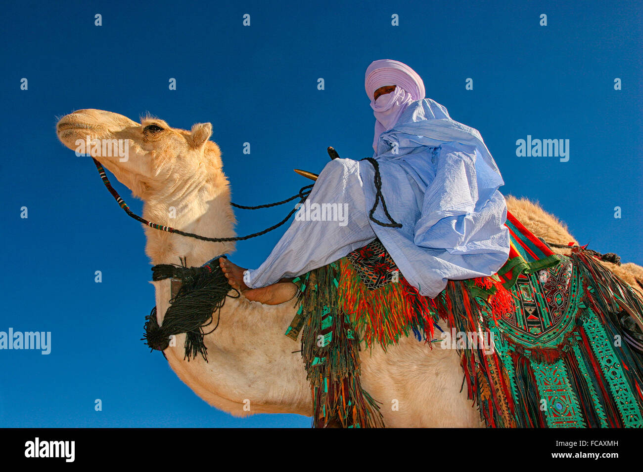 Algeria, Sahara, Hoggar (Ahaggar Mountains), Tamanrasset Portrait of a ...